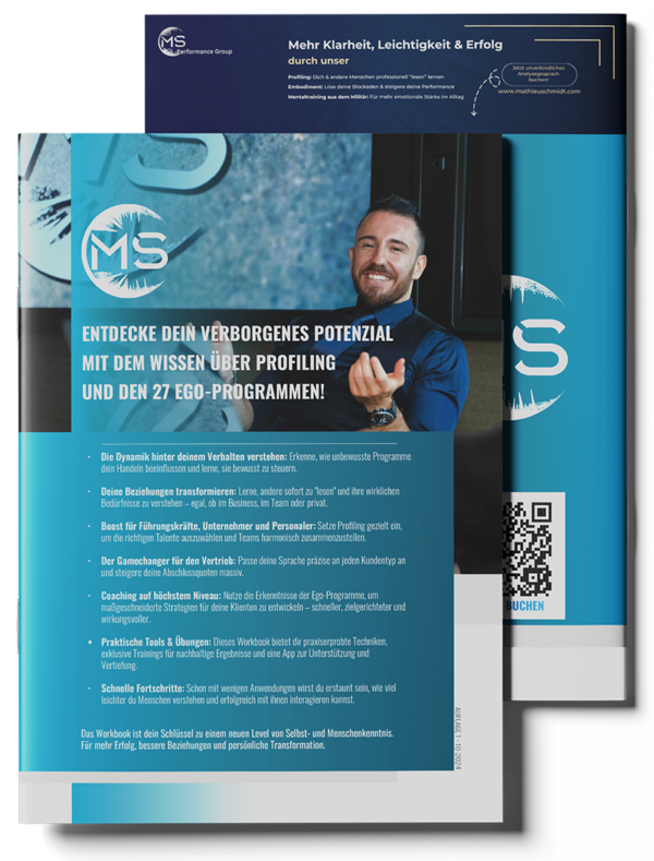 Workbook-Profiling - Mathieu Schmidt Performance